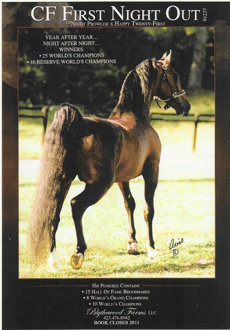 Blythewood Farms LLC - CF First Night Out